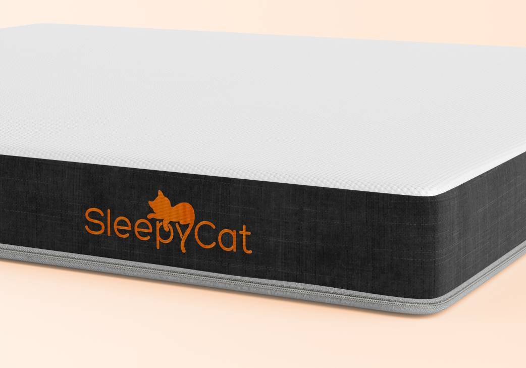 SleepyCat Mattress Review - India | 2023