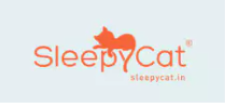 SleepyCat Mattress Review - India | 2023